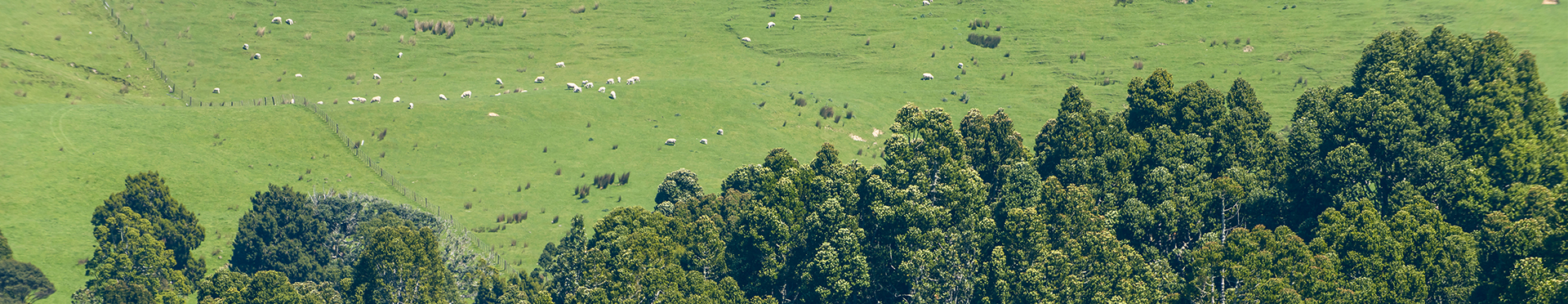 How To Protect Your Land With Us | QEII National Trust