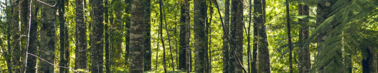 Map of Our Protected Land | QEII National Trust