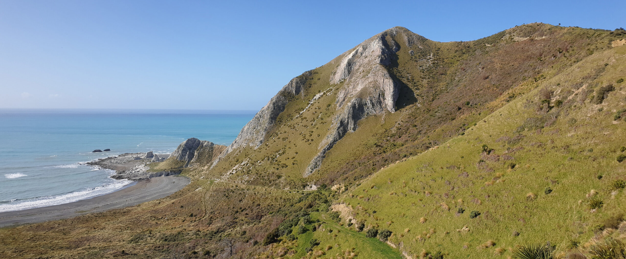 Rare limestone species receive extra-special care - QEII