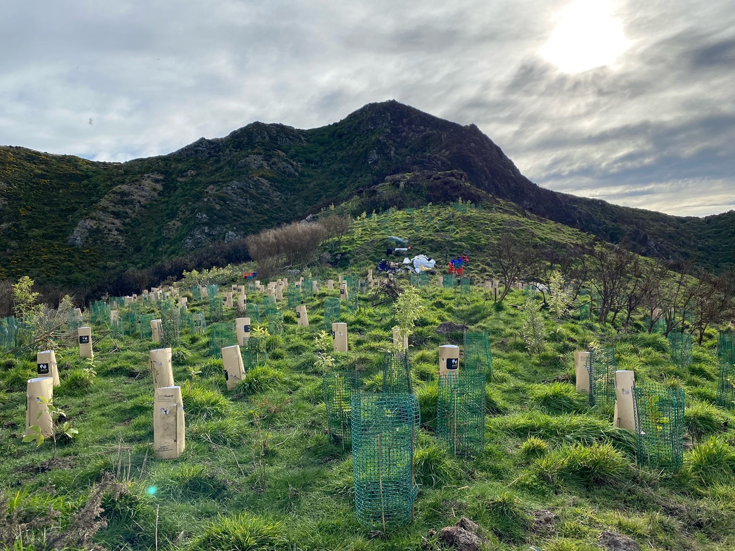 Protection beyond the flames – QEII covenants and wildfires - QEII