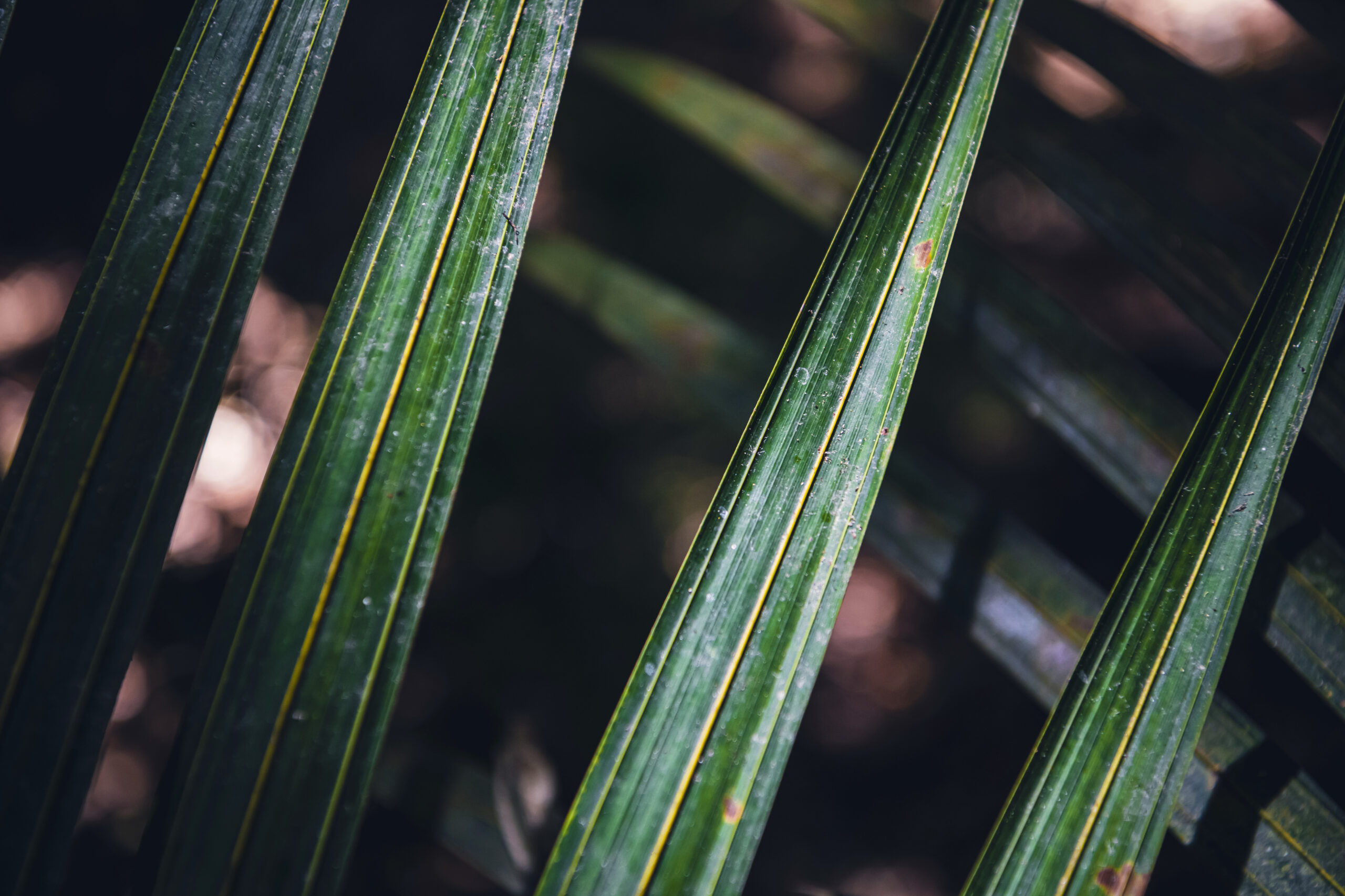 QEII covenant successfully defended against quarrying – again - QEII