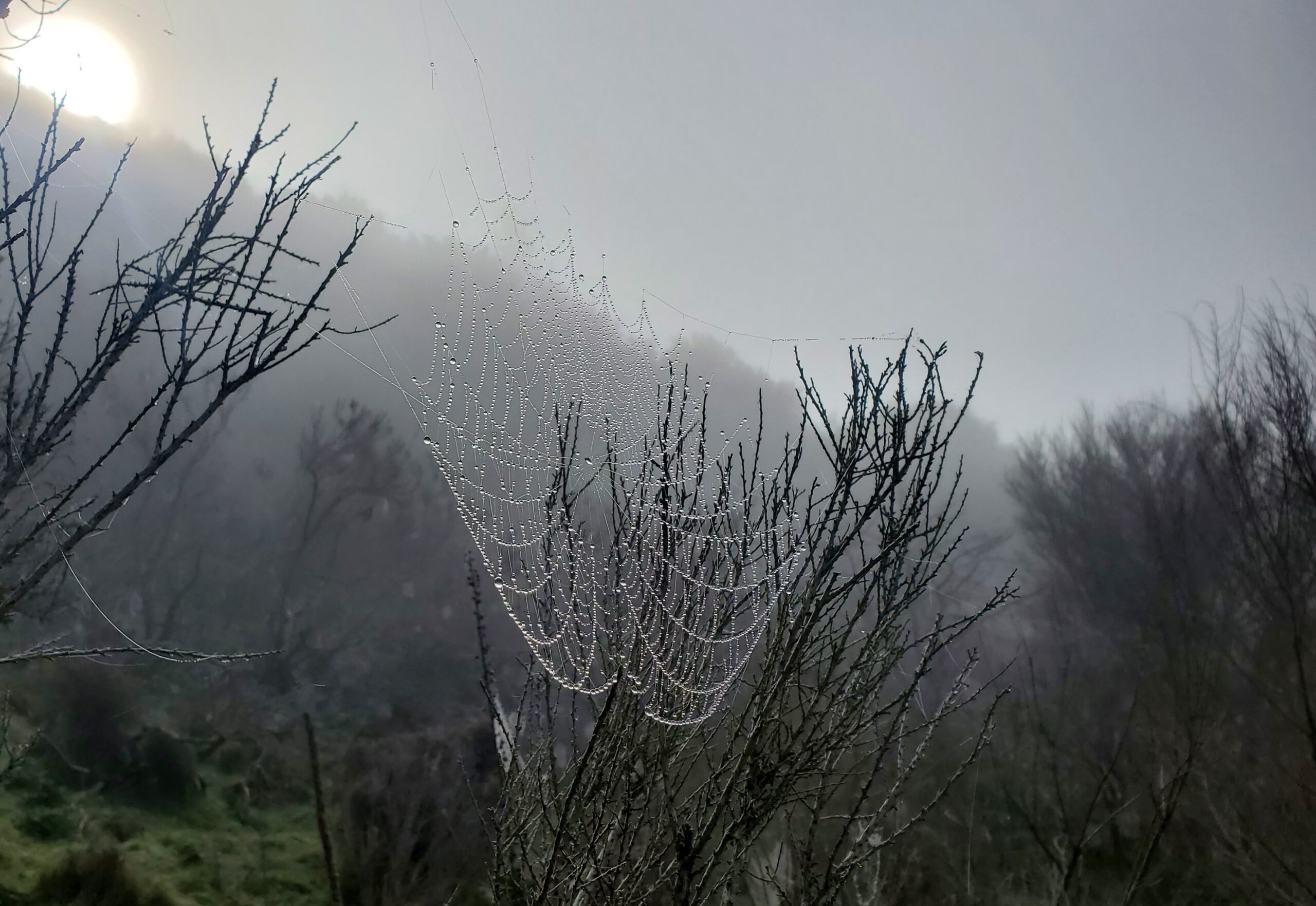 Shifting with the seasons - What's happening in winter? - QEII